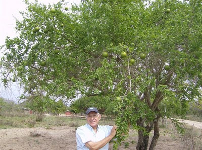SABOR DE MABOQUE: Há dias assim